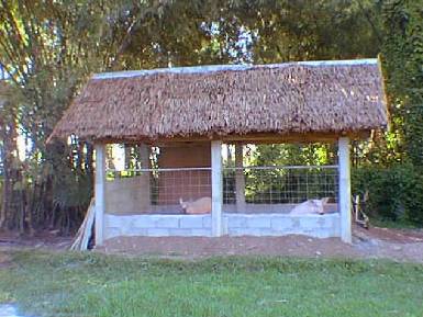 For backyard hog raising, I made a pigpen 1/4 in size compared to my ...